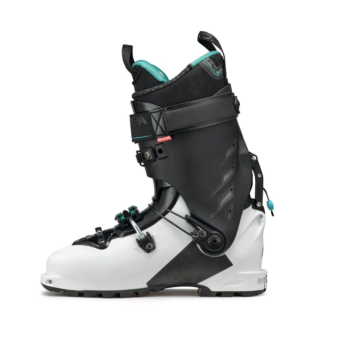 Telemark Pyrenees: Touring skis, backcountry skiing, telemark skis