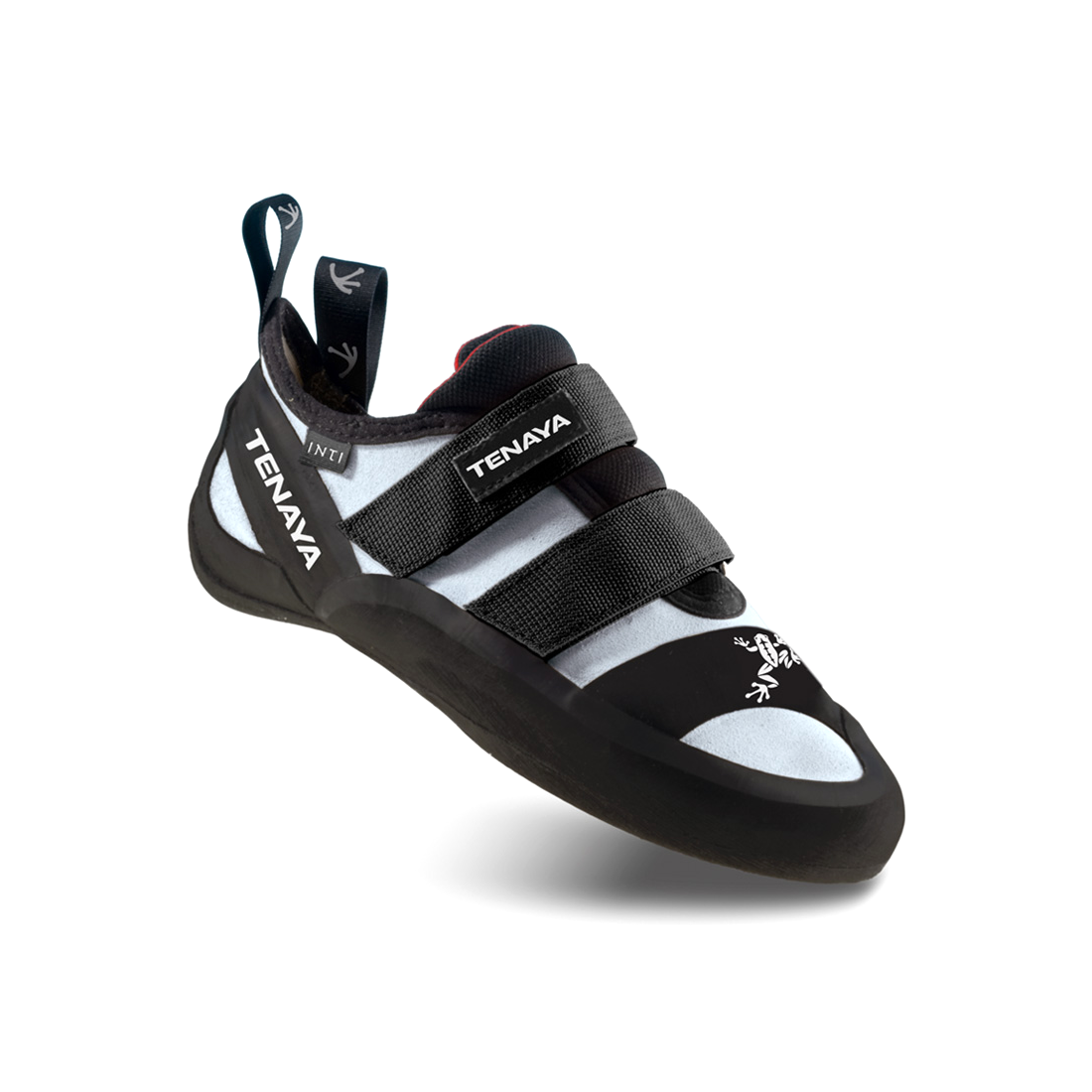 Telemark Pyrenees: Touring skis, backcountry skiing, telemark skis