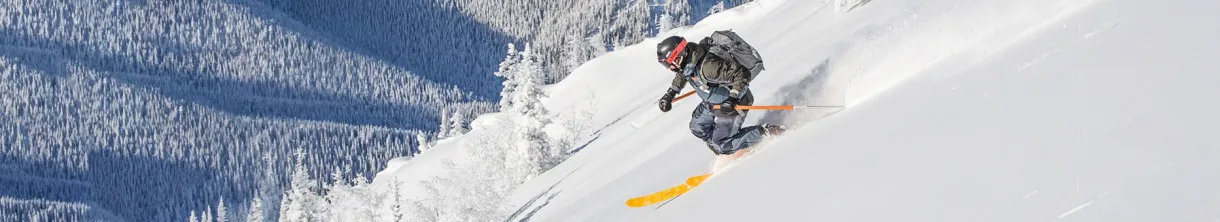 Telemark Ski & Binding Packages | Page of | Telemark-Pyrenees